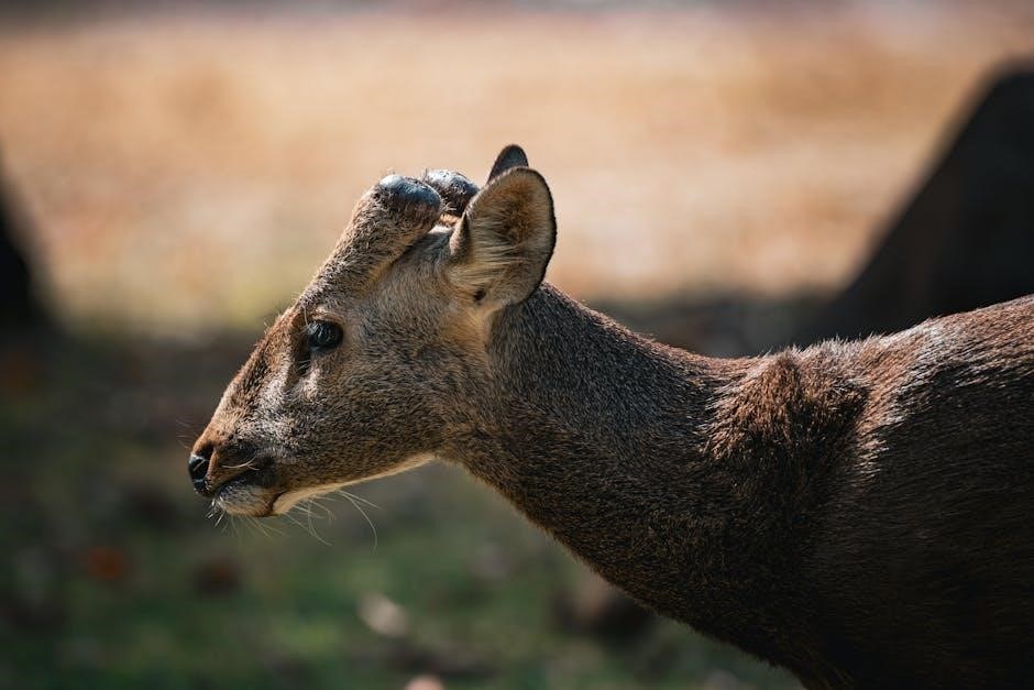 UPC 2024 PDF Download: Your FREE Plumbing Code Guide is Here!